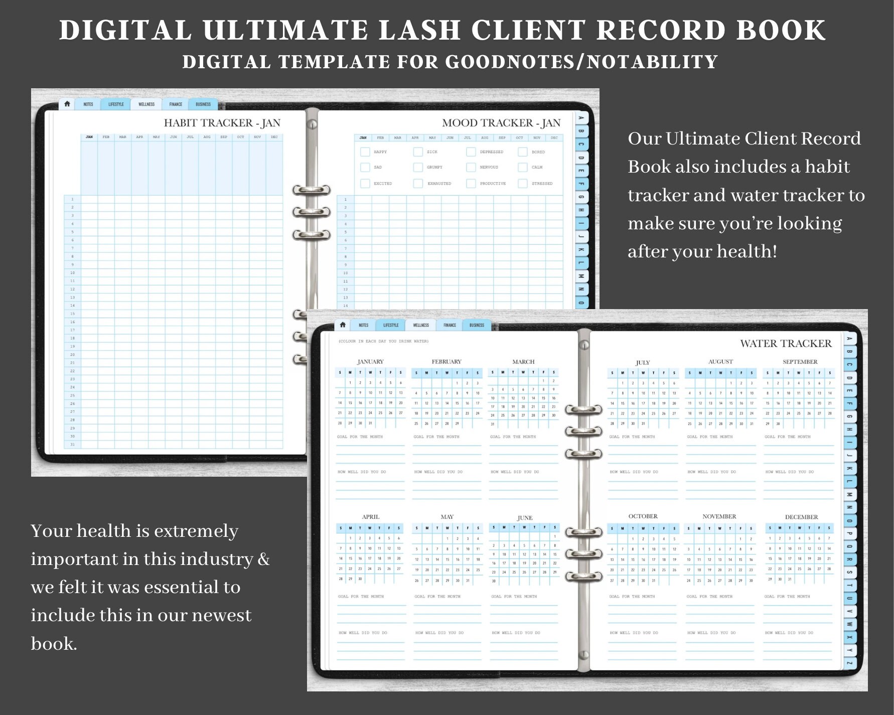 2024 DIGITAL BLUE Ultimate Lash Client Record Book Template, Lash Mappings, Service Tracker ...