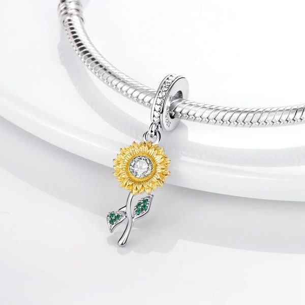 Pandora Charms - Etsy