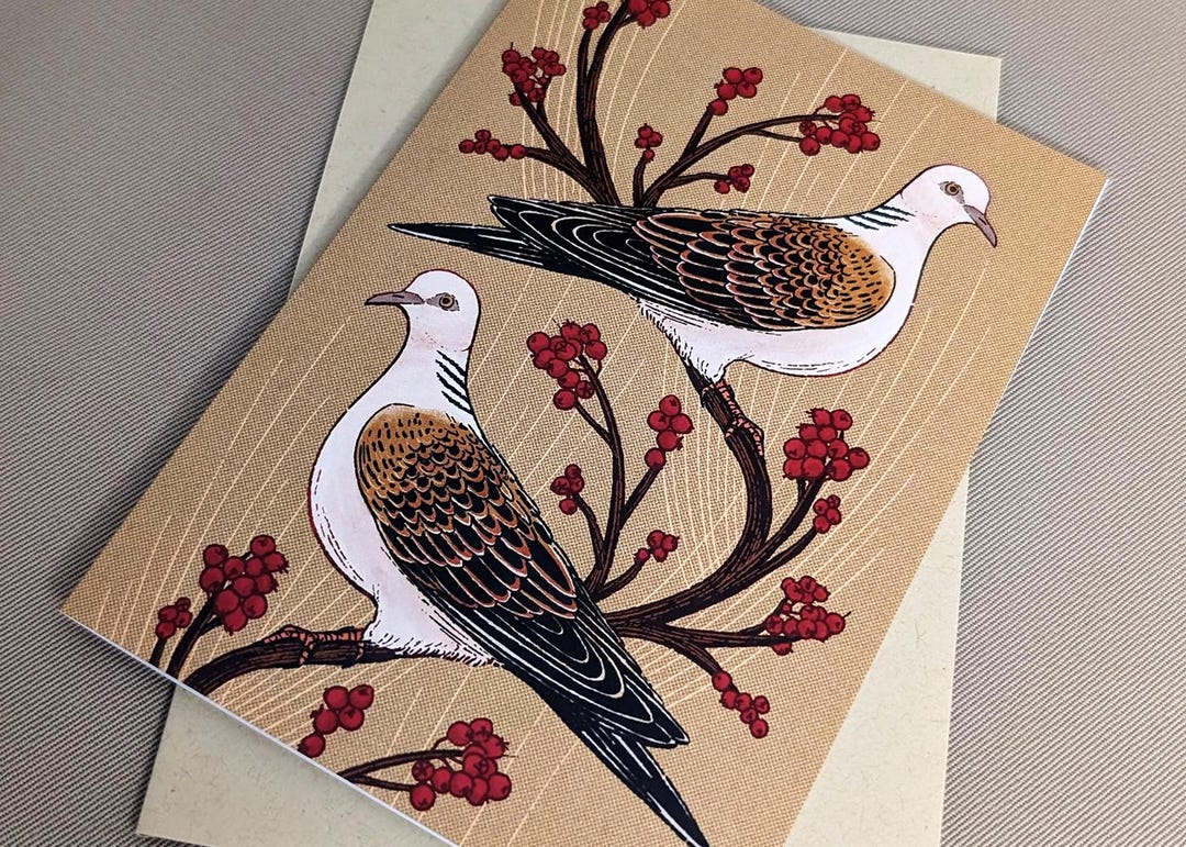 Two Turtle Doves - Illustrated Wildlife Christmas Card - Eco-friendly ...