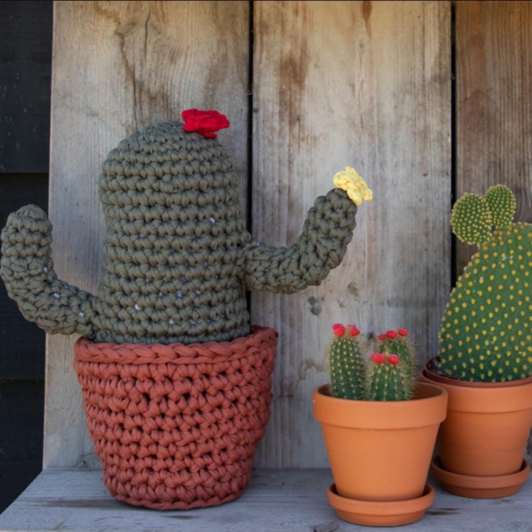 Xl Cactus Pattern - Etsy