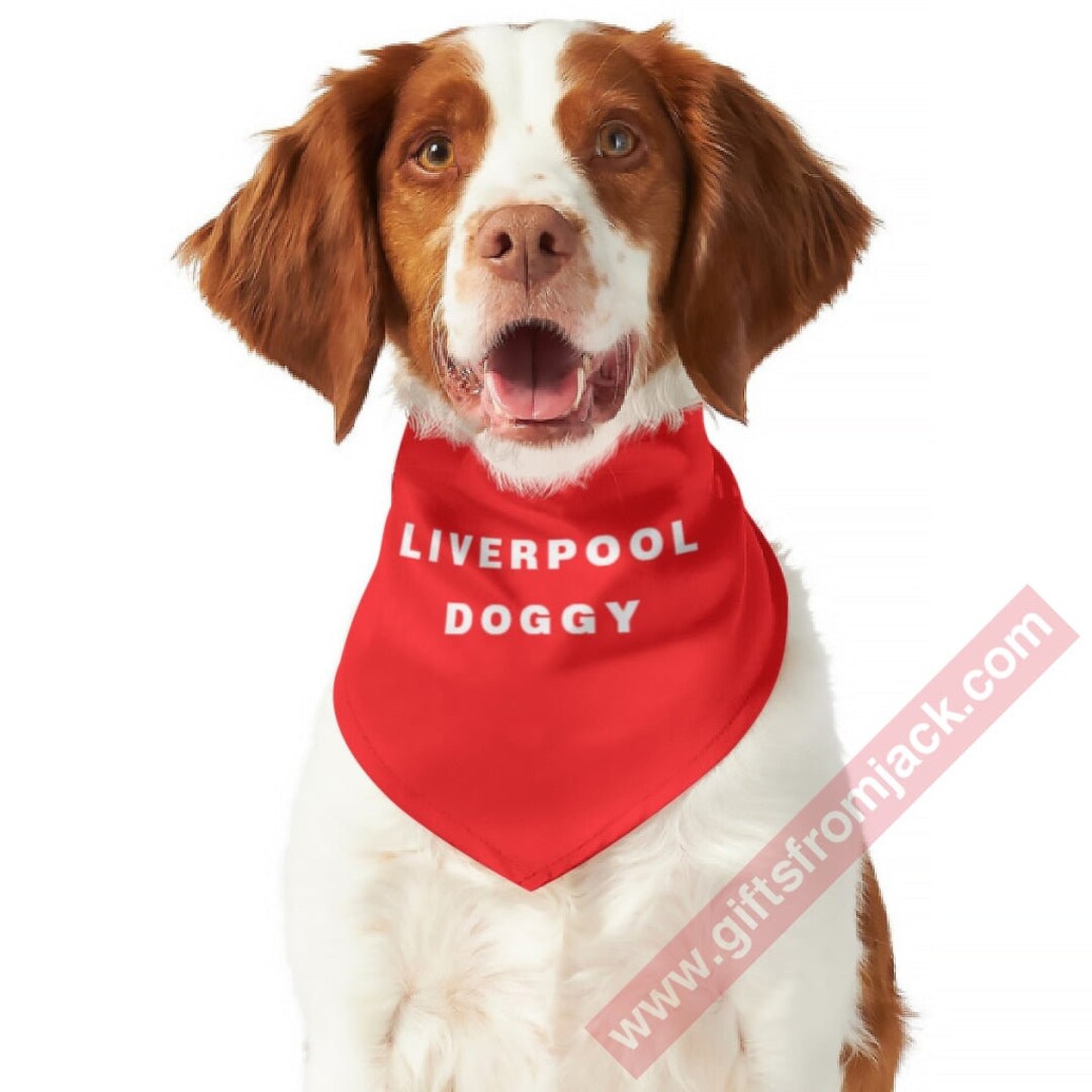 Liverpool Dog Scarf . Liverpool Doggy . Map Gift for Scouser - Etsy