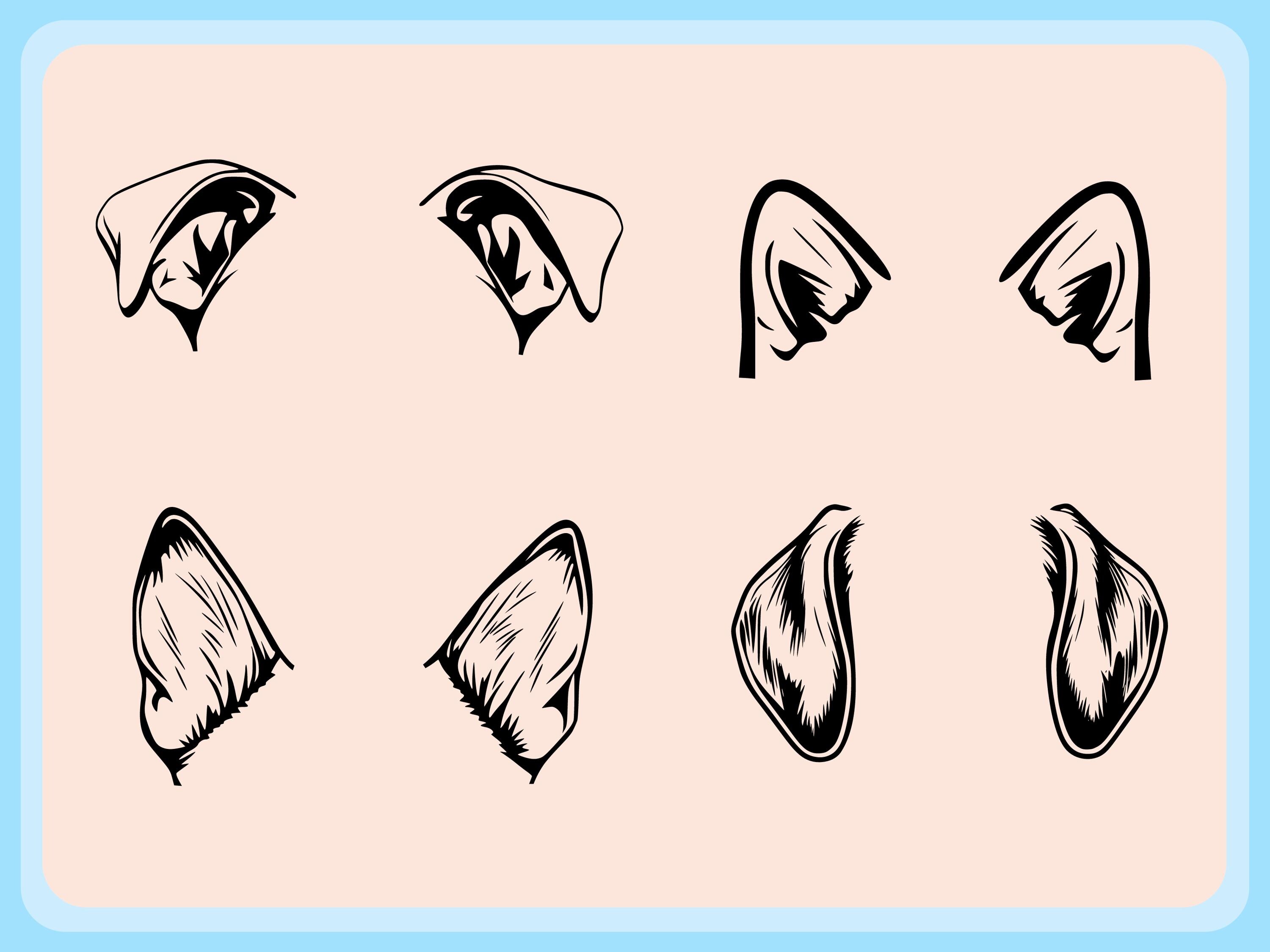 Dog Breed Ears Illustration Svg Bundle, Hand Drawn Dog Ears Outline ...