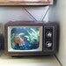 Vintage Tv Aquarium, Upcycling 60s Console Television, Vintage Aquarium ...
