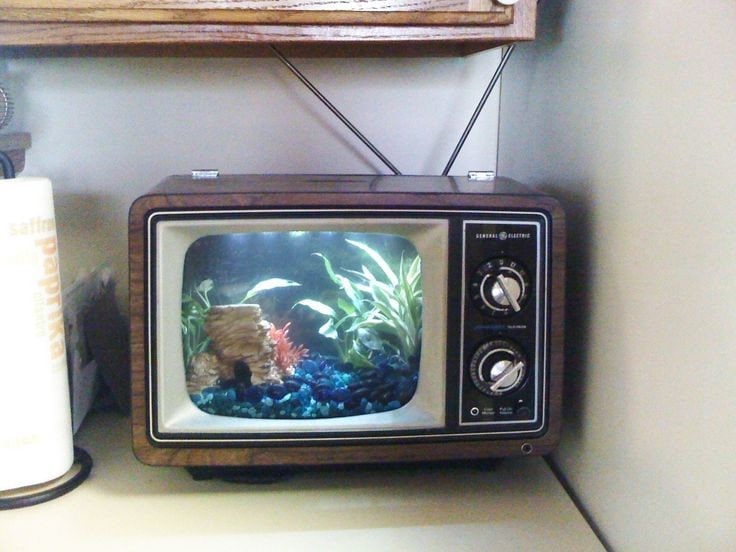 Vintage Tv Aquarium, Upcycling 60s Console Television, Vintage Aquarium ...