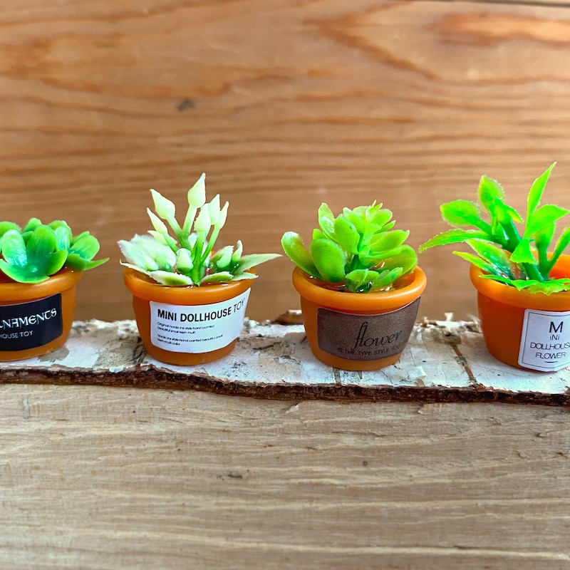Miniature Plants - Etsy