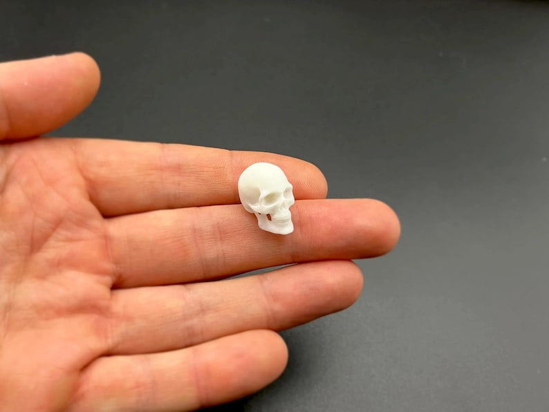 Miniature Human Skulls. Realistic Plastic Replicas - Etsy