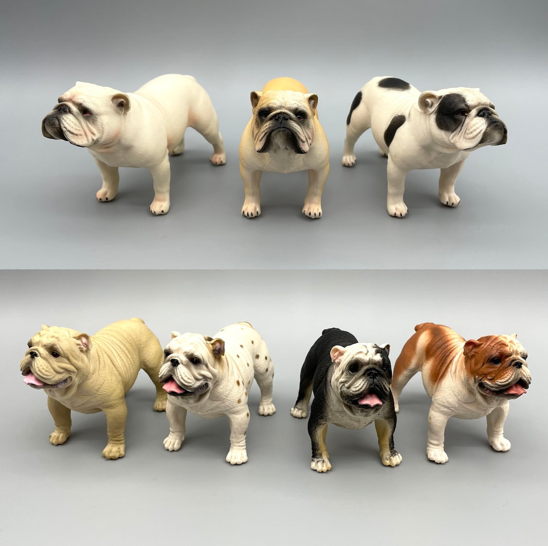 Miniature English Bulldog Models. 1:6 Scale Dog Figures - Etsy