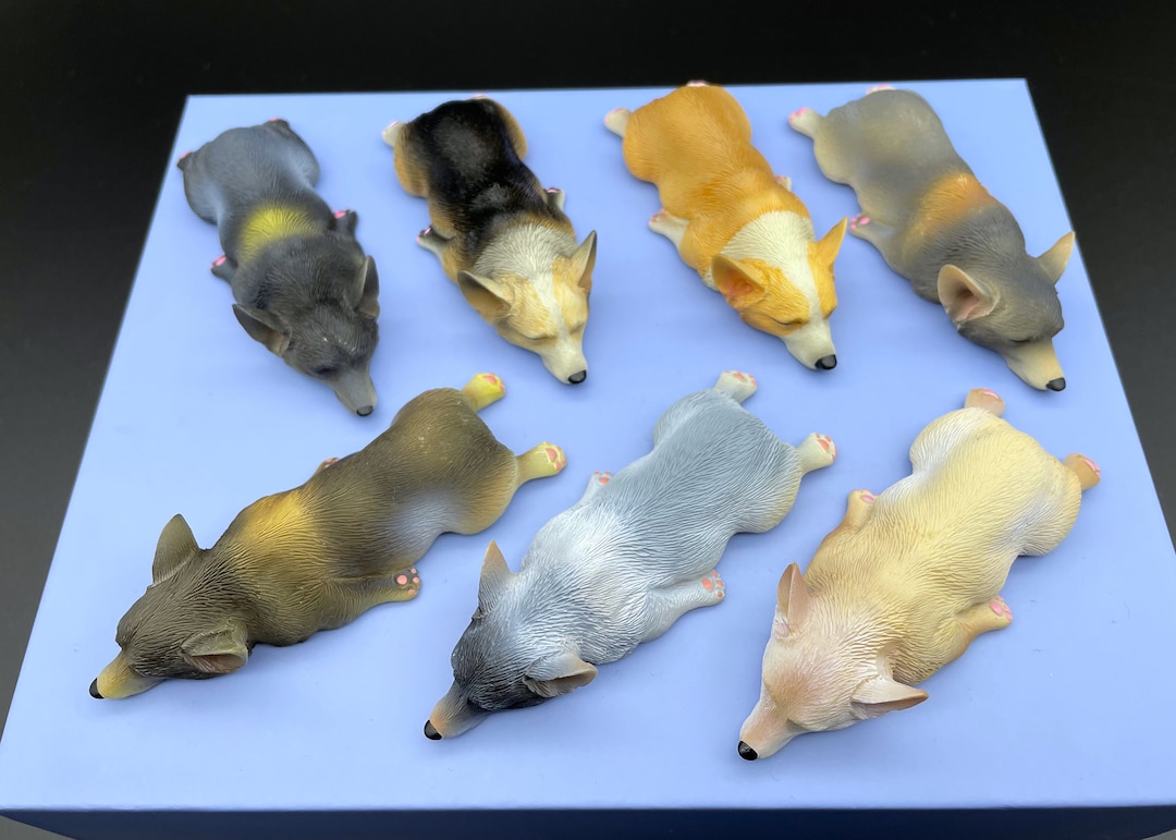 Sleeping Corgi Puppy Dog Magnets. Many Colors. Miniature 1:6 Scale - Etsy