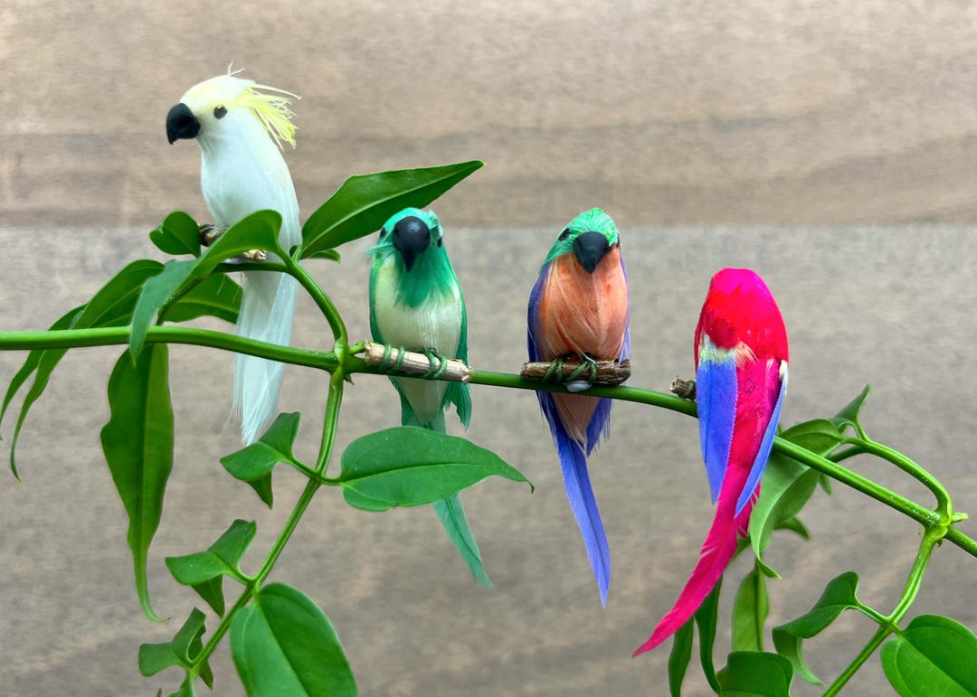 Miniature Birds. Fairy Garden Colorful Birds. - Etsy