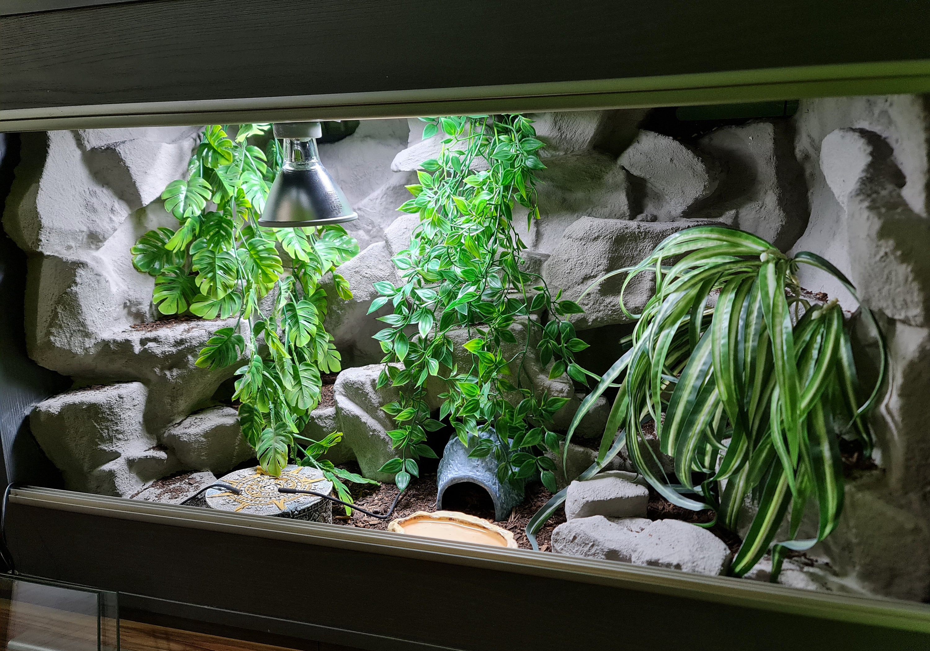 Custom Reptile Backgrounds, 3D, Natural, Any Size, Perfect for Bearded ...