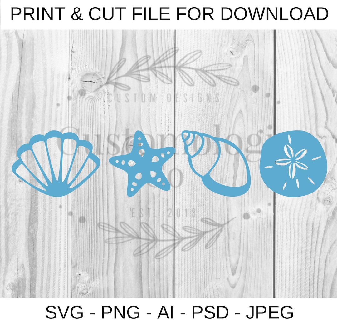 Shells SVG PNG | Sea Shells Png | Coastal Vibes | Summertime | Digital ...