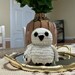 Mini Owl Crochet Pattern - Etsy