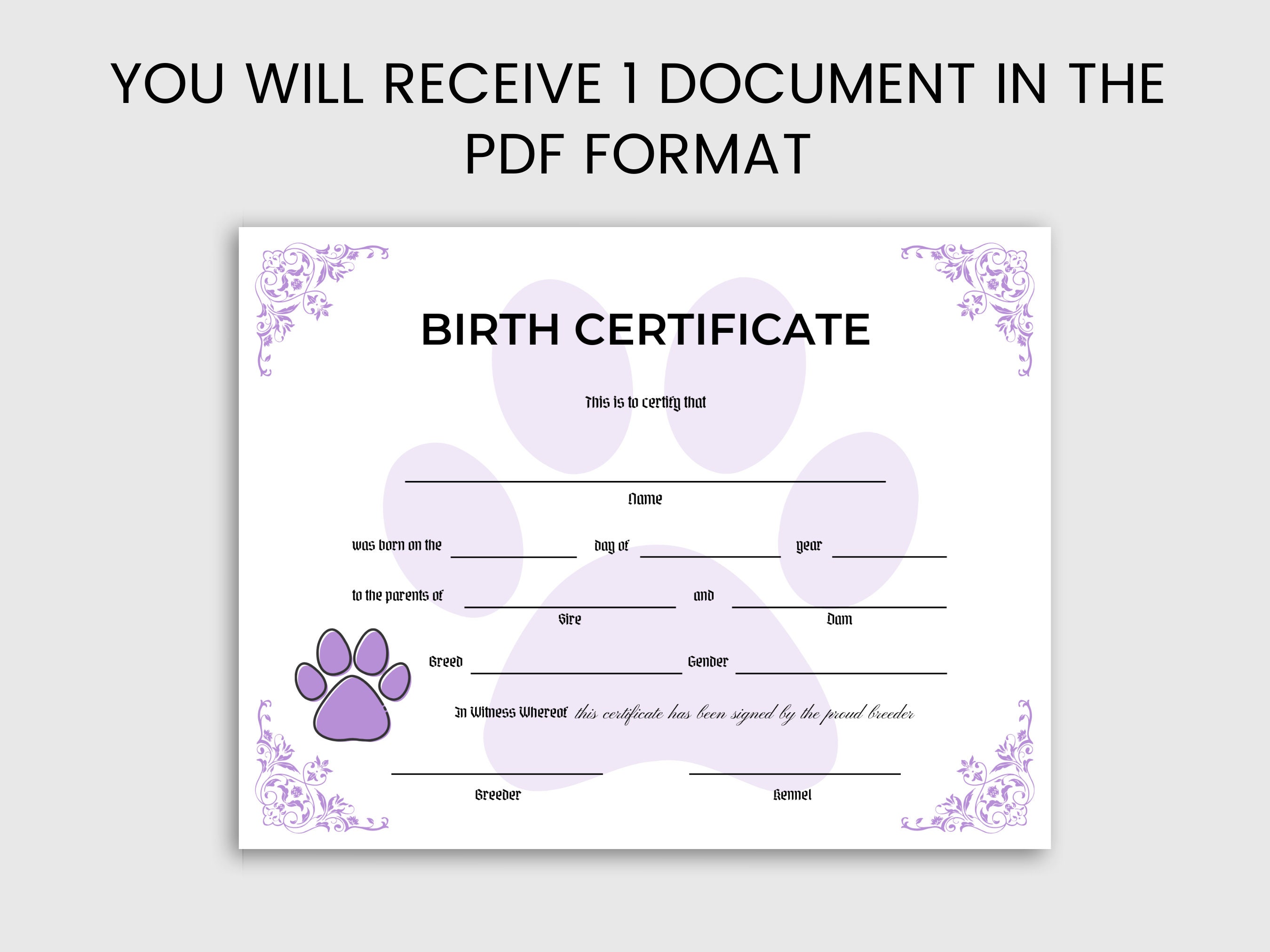 Certificado de nacimiento de cachorro, criador de perros, certificado ...