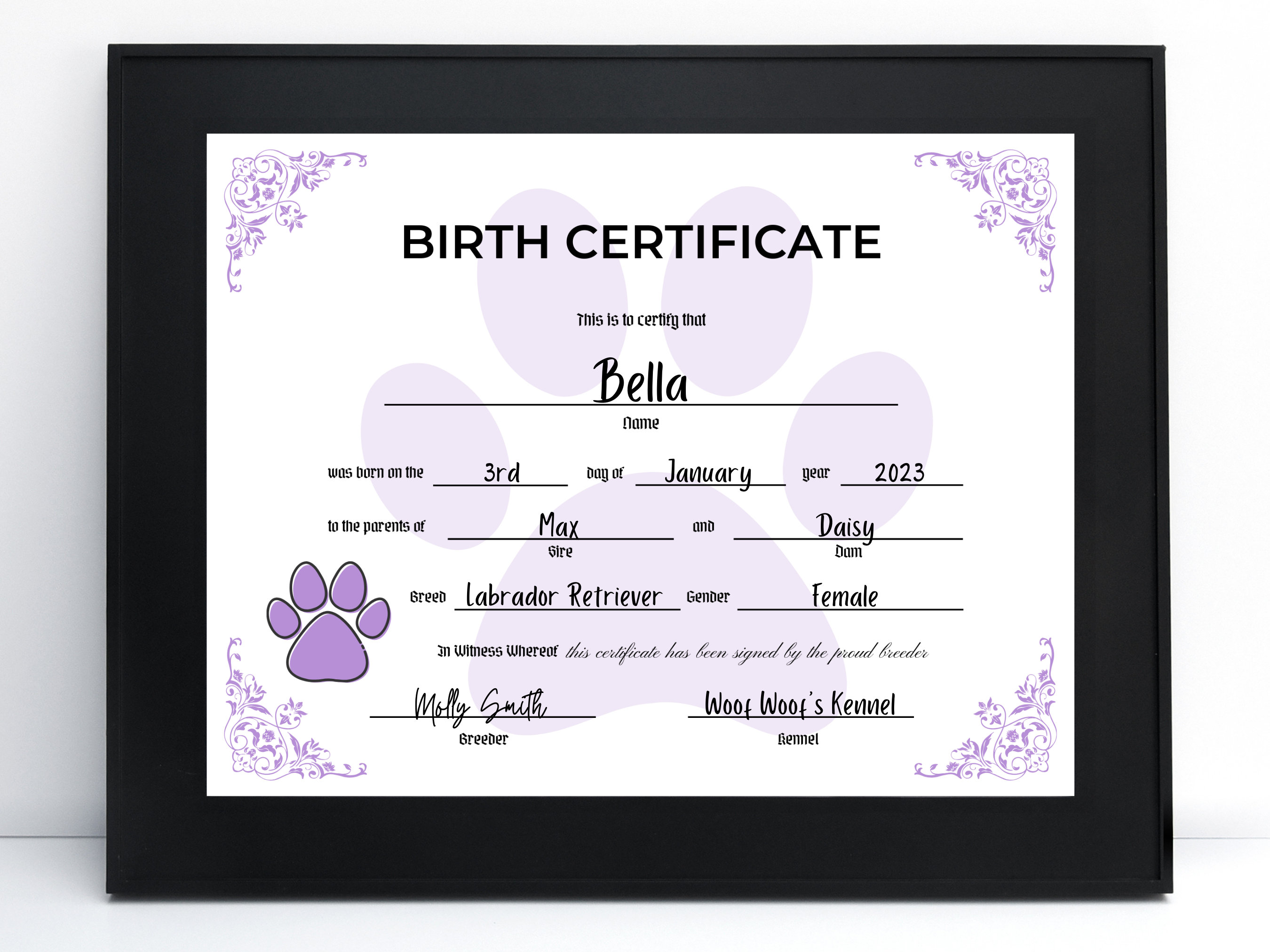 Certificado de nacimiento de cachorro, criador de perros, certificado ...