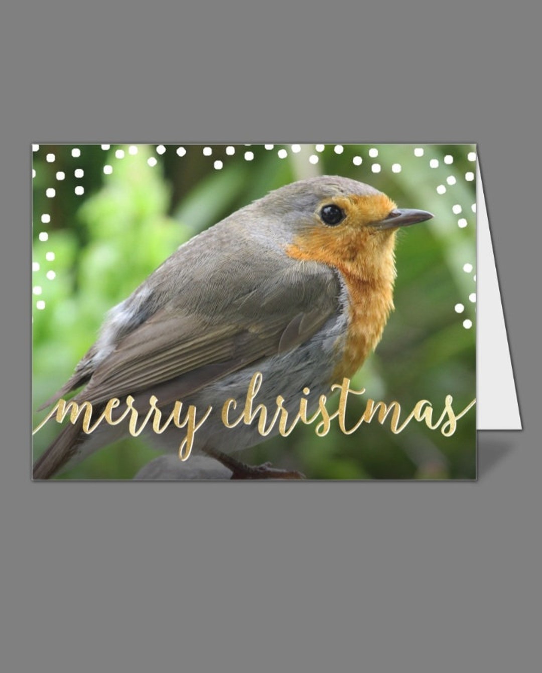 Christmas Robin Card, Merry Christmas Robin, Seasons Greetings Robin ...