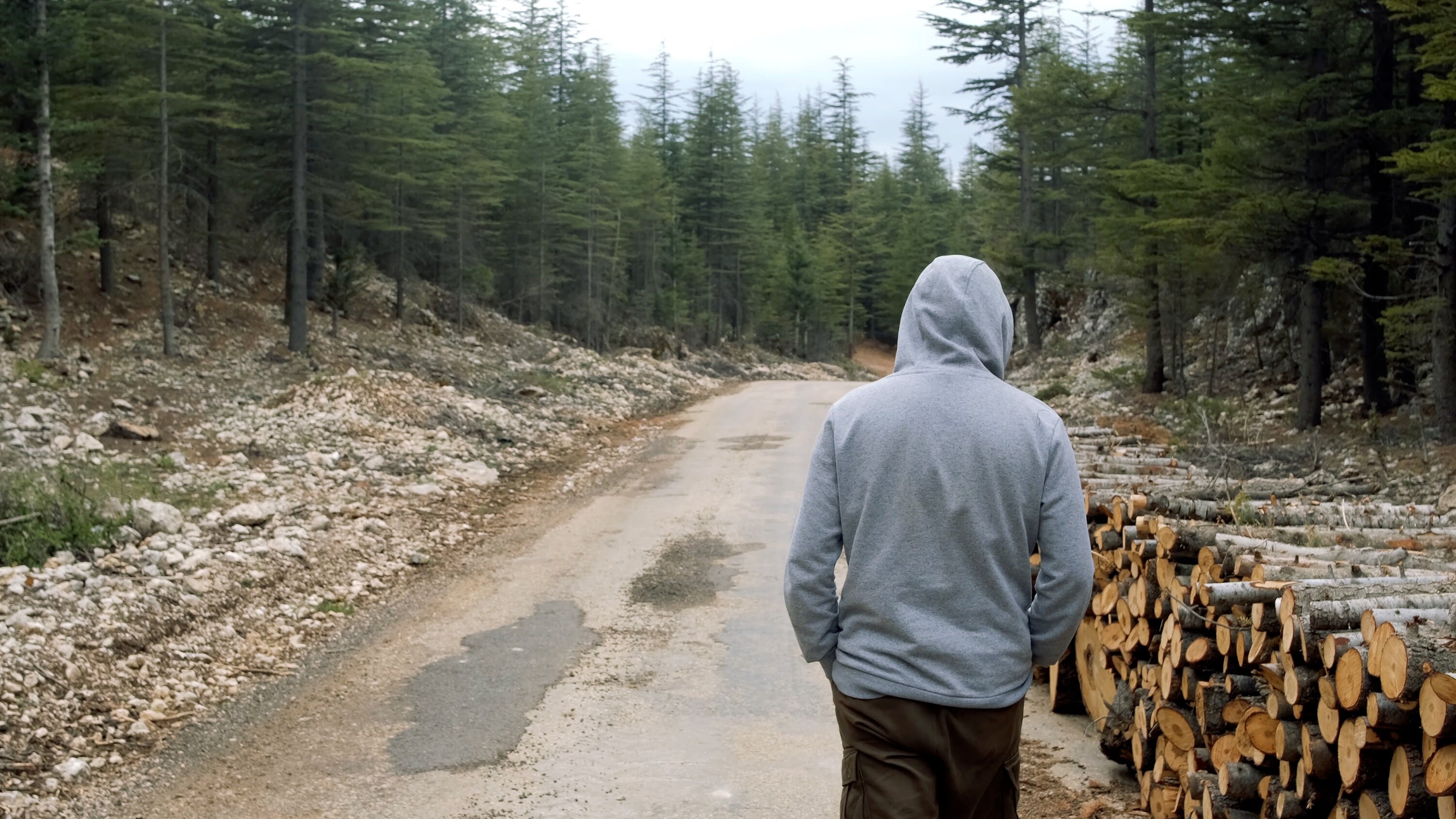 10 Cinematic Soft Luts Color Grading Video and Photo for Mobile and ...