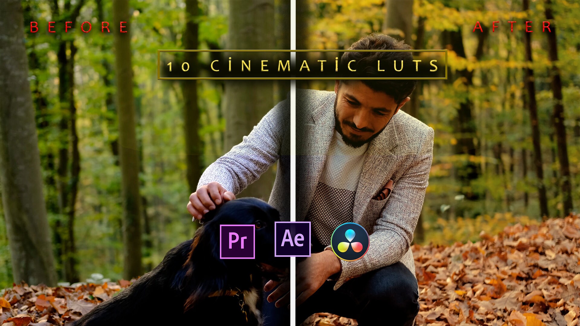 10 Dramatic Luts, Adobe Premiere Pro Luts Pack, Video Editing Luts ...