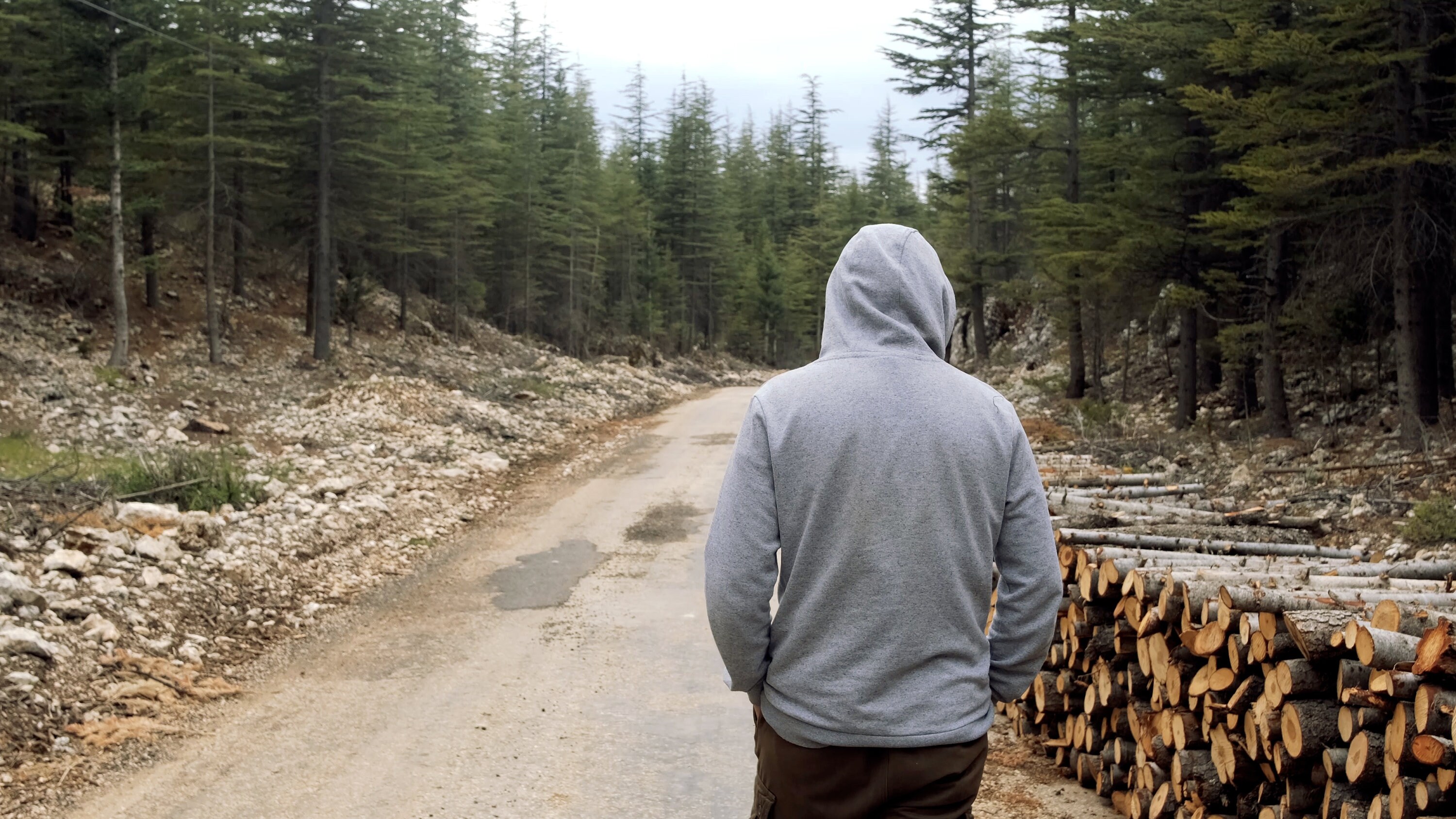 10 Cinematic Soft Luts Color Grading Video and Photo for Mobile and ...