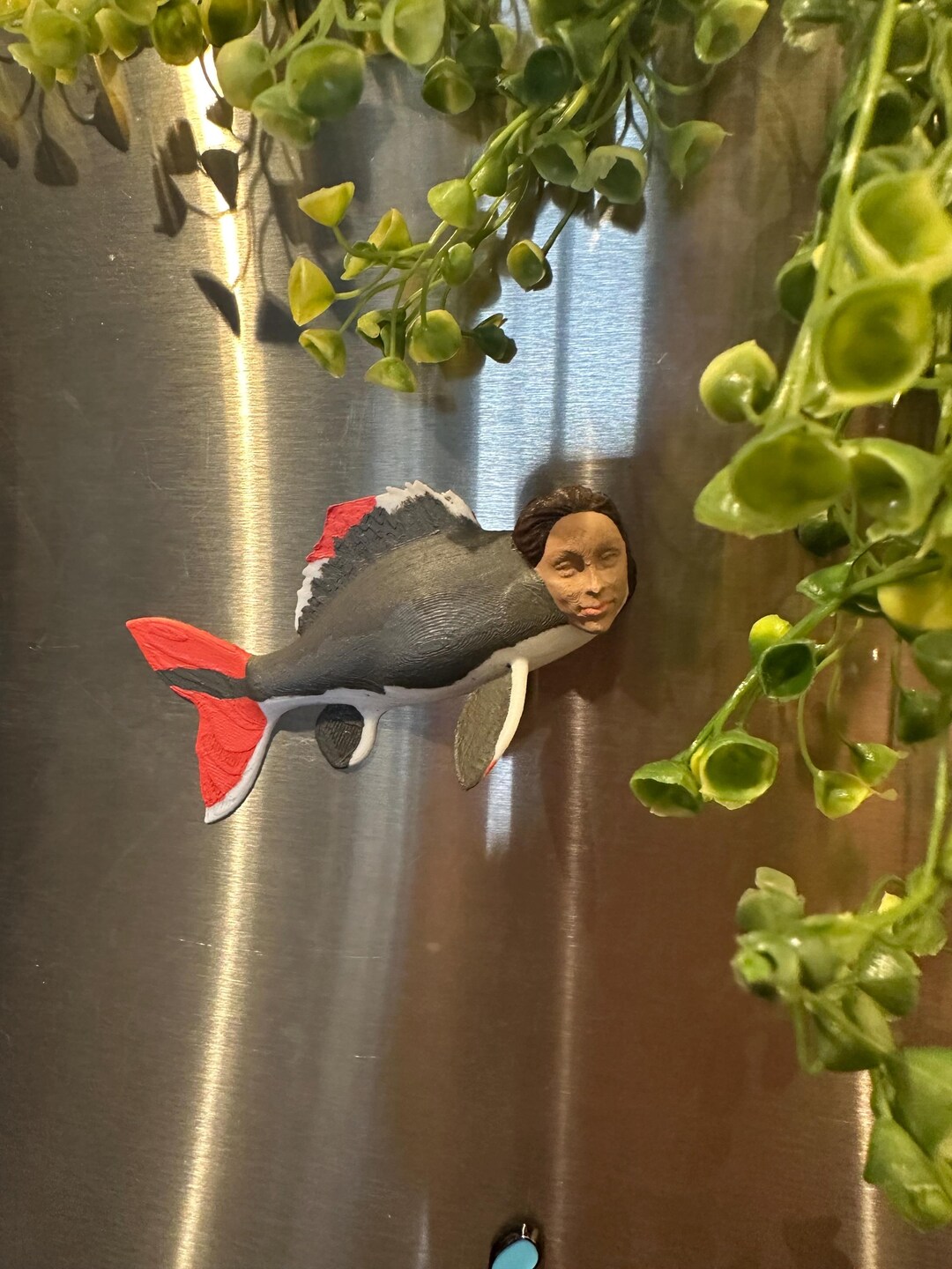 Doja Catfish Magnet / Funny Decor / Funny Gift Idea / Gift Idea / Cool ...