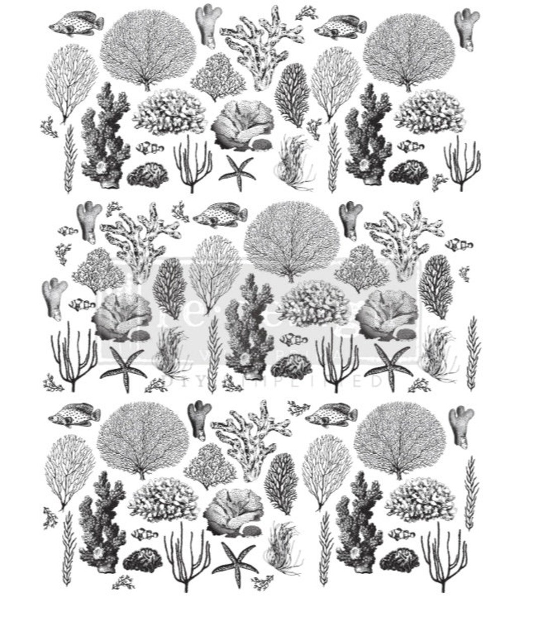 Coastal Sea Life Transfer by Redesign With Prima - Etsy