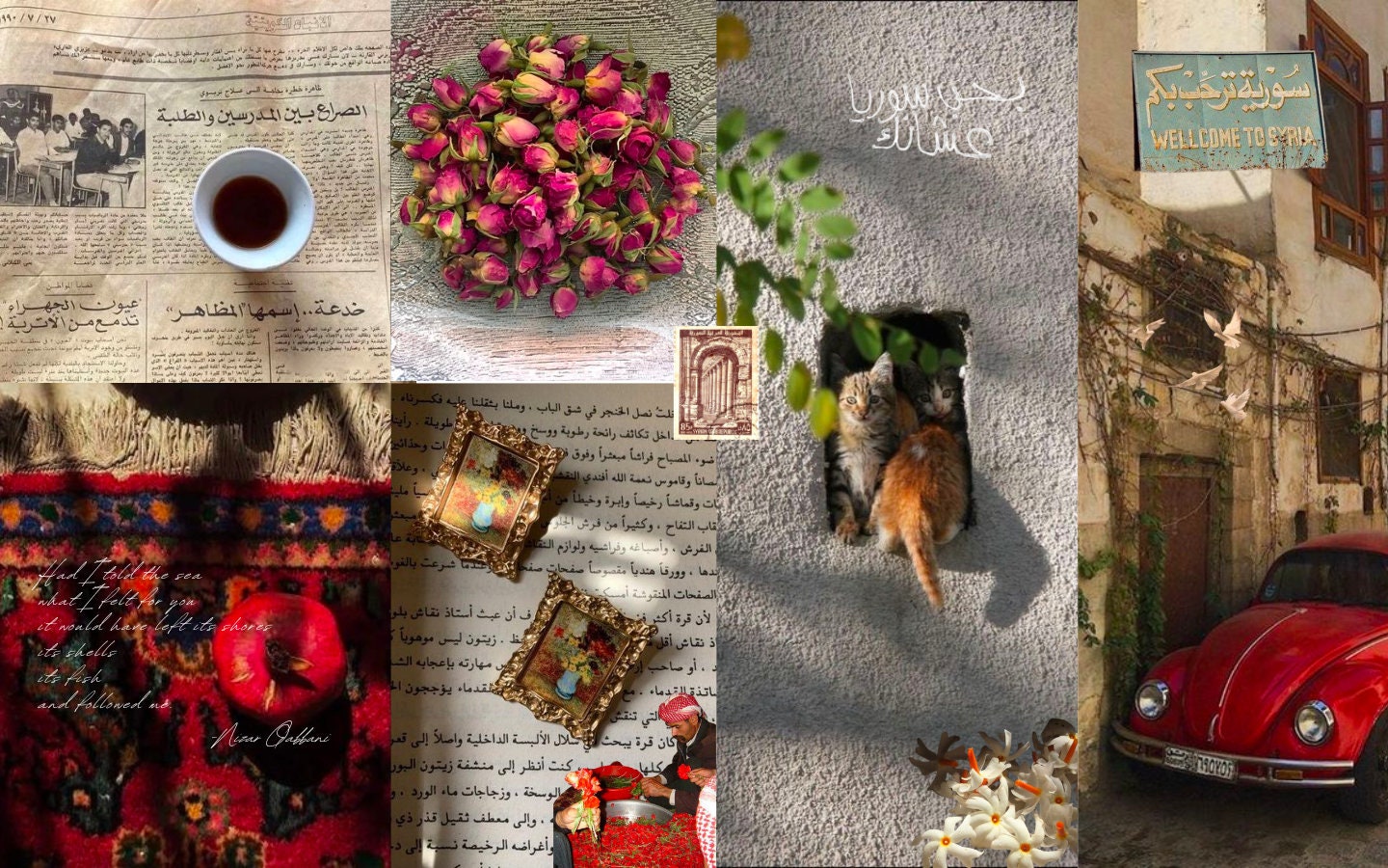 Syria Aesthetic Laptop Background Digital Download - Etsy