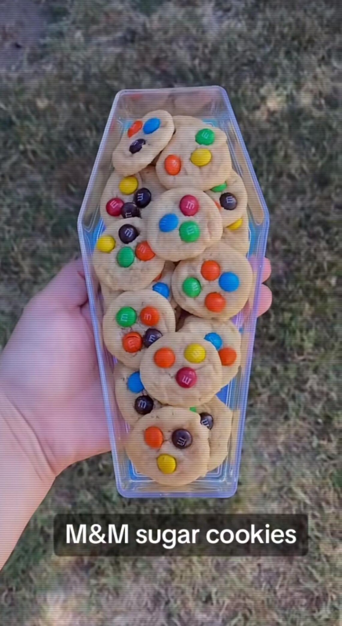 Halloween Coffin-shaped Plastic Container: Treat Box, Jewelry Storage ...