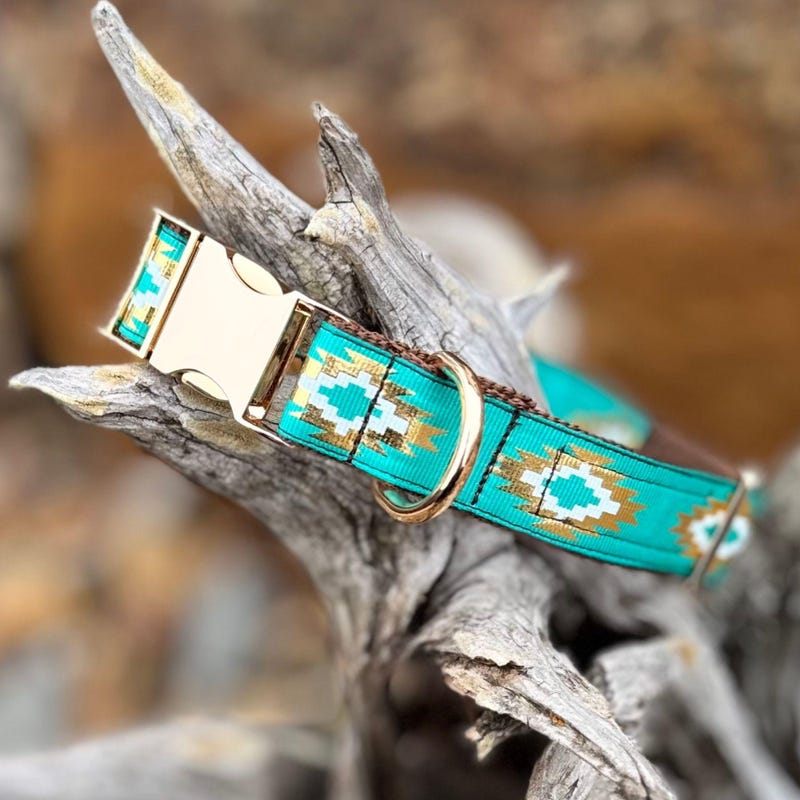 Turquoise Dog Collar - Etsy