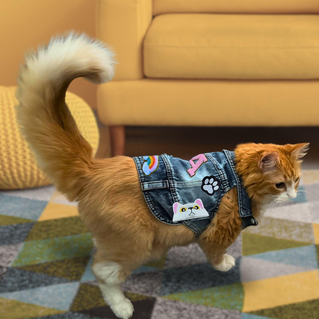 Monogram Denim Cat Vest, Personalized Kitty Jean Jacket, Blue Jean Coat ...