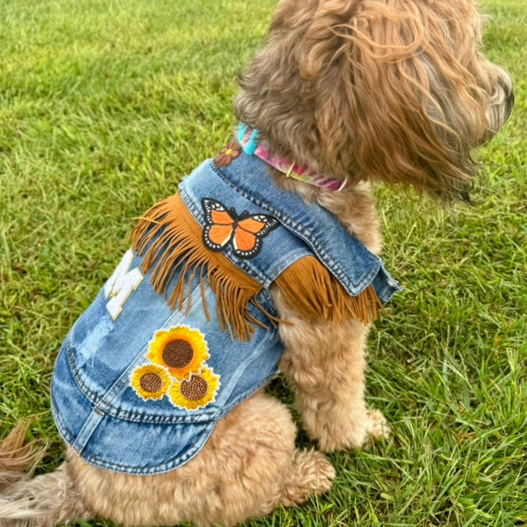 Monogram Denim Dog Vest, Custom Dog Jacket, Personalized Dog Jean ...