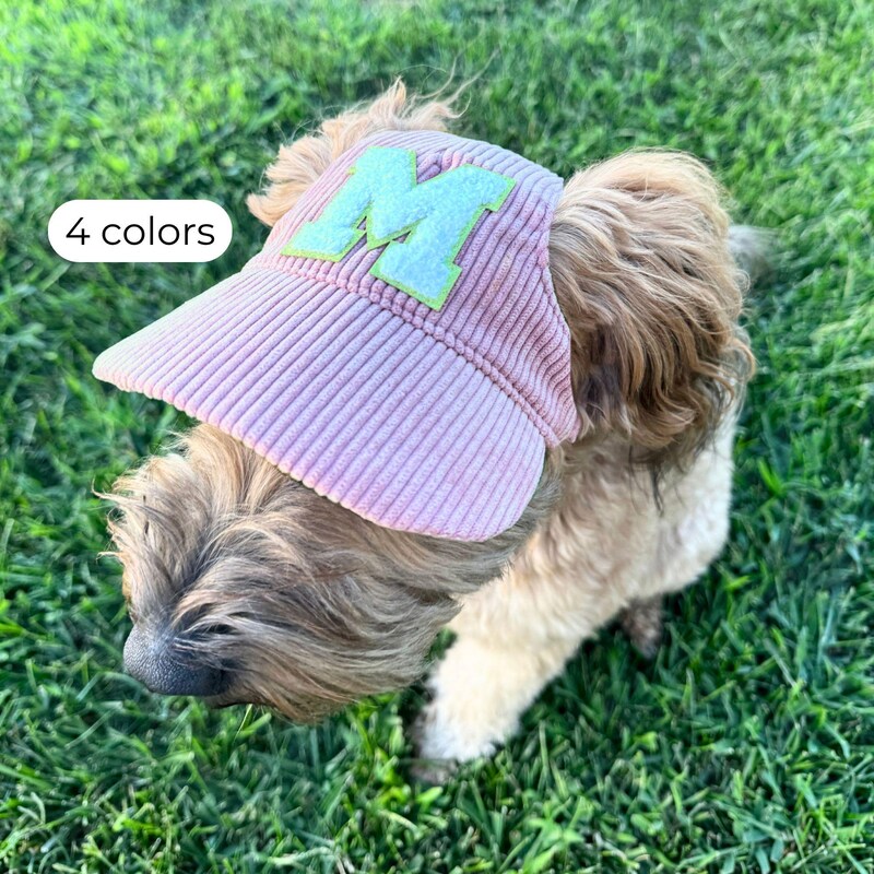 Hats for Dogs - Etsy