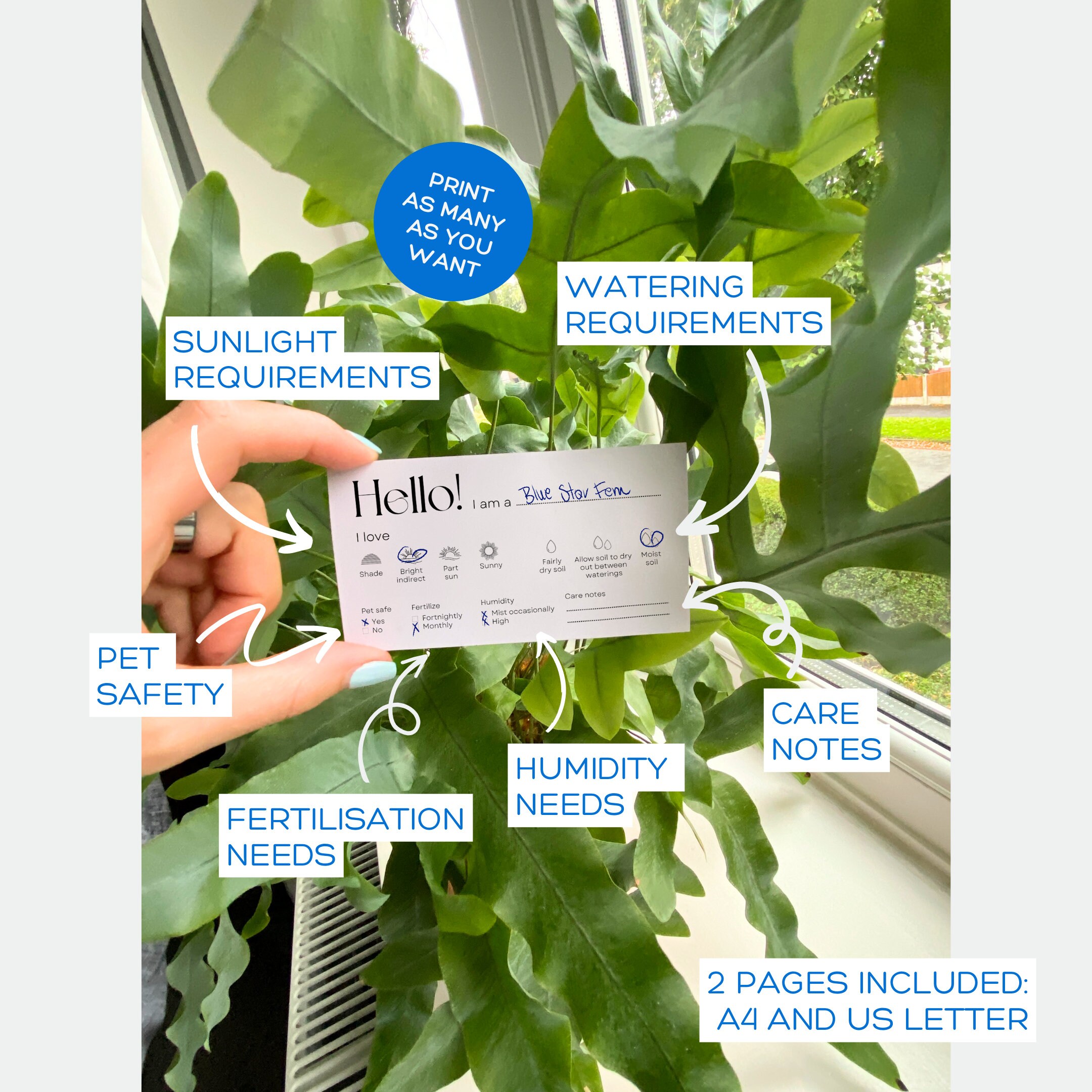Plant Care Information Cards: Printable Plant Instructions (digital ...