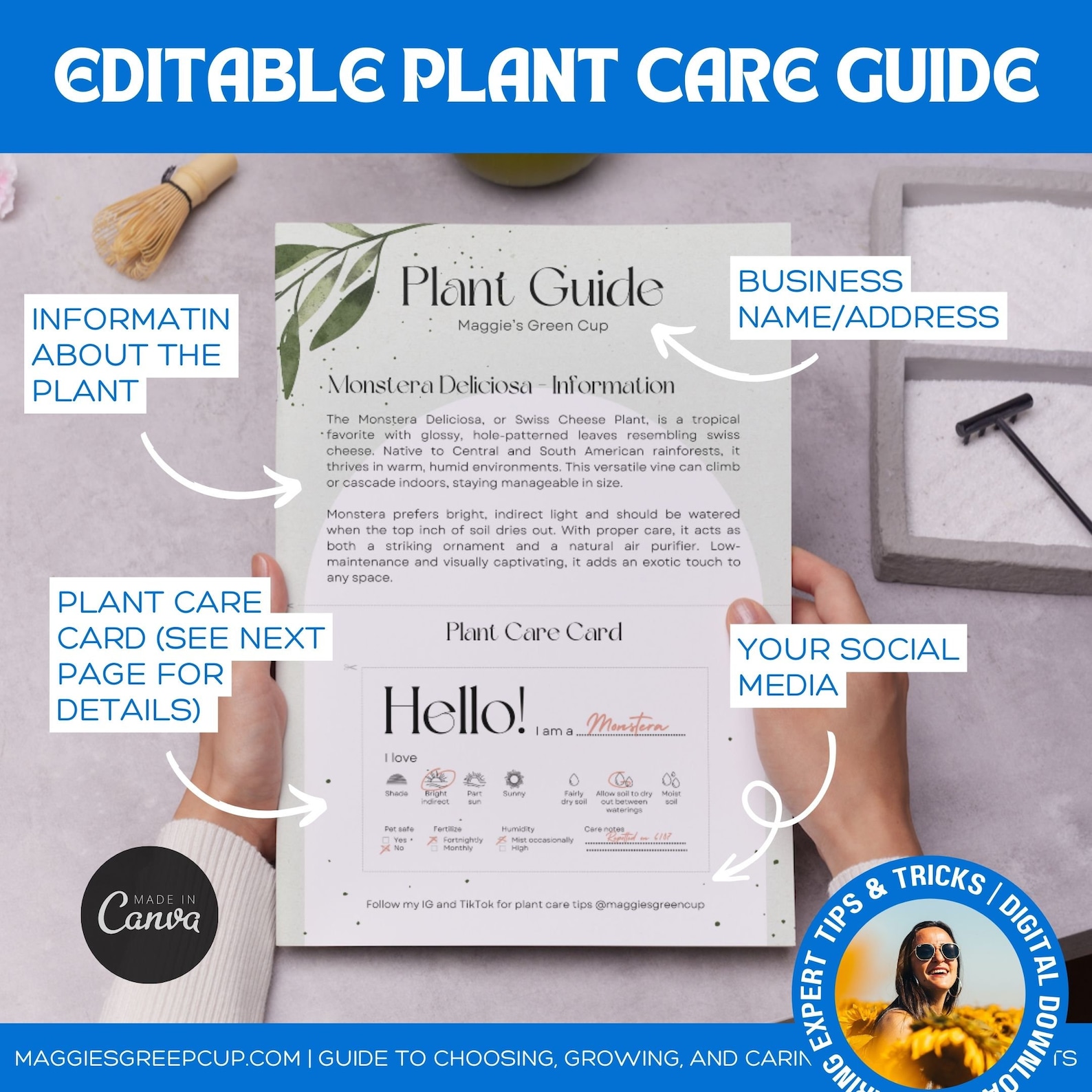 Plant Profile Care Guide Editable Canva Cards Plant Labels Indoor ...