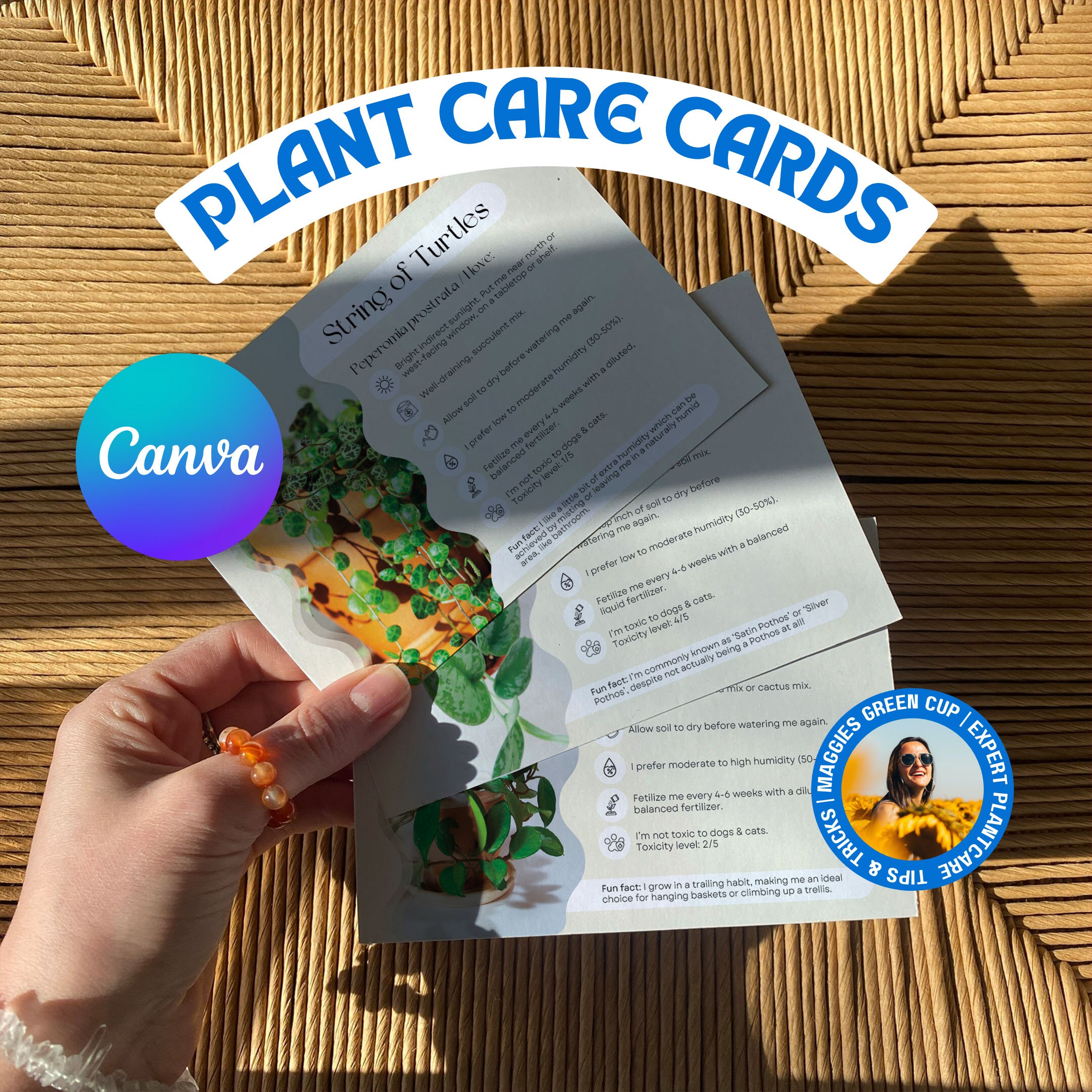 Plant Care Cards Canva Template: Houseplant Guide With Pictures - Etsy