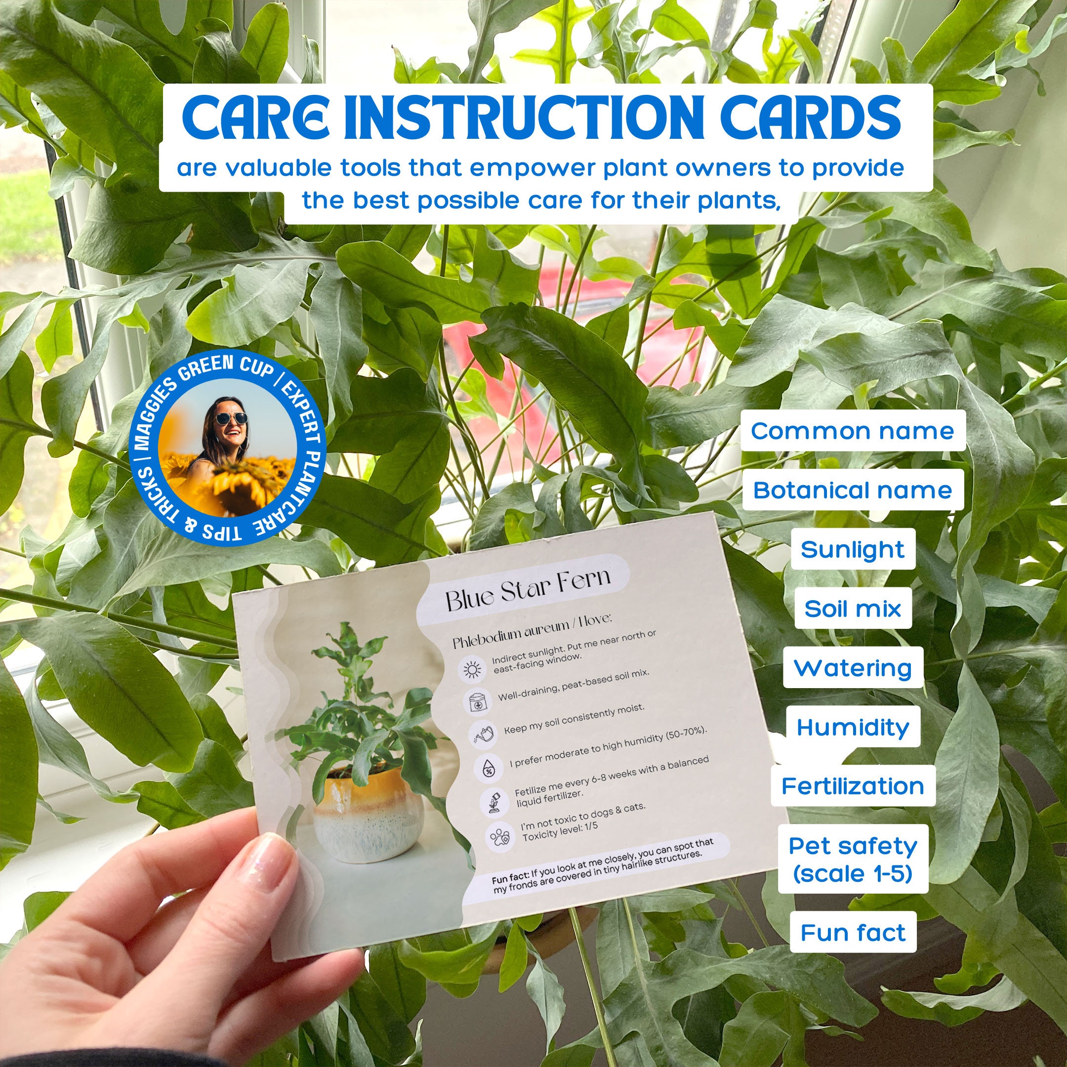 Houseplant Care Cards: Printable Plant Guide (digital Download) - Etsy