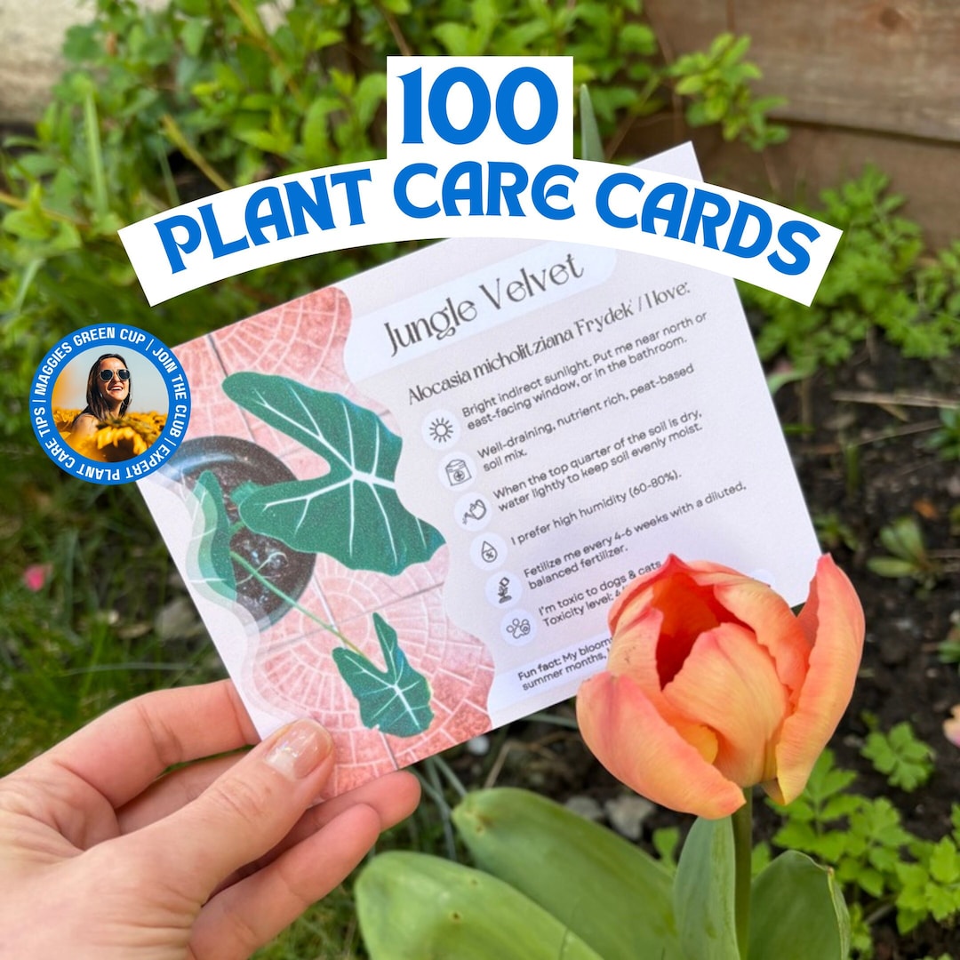 Plant Cards With Pictures: Printable Houseplant Instruction - Etsy ...