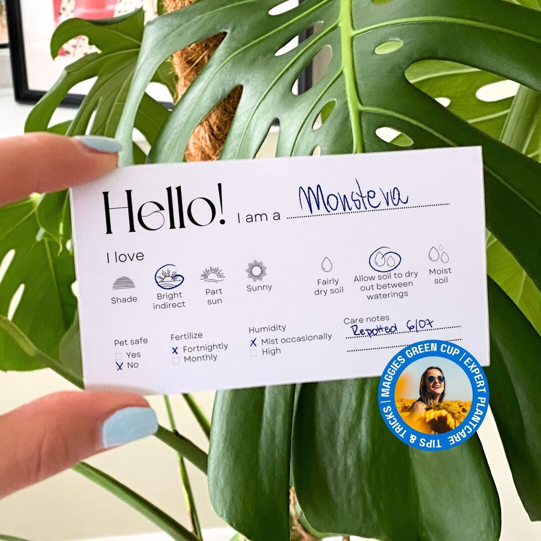 Plant Care Cards, Plant Gift, Plant Instructions, Begonia Plant, ZZ ...