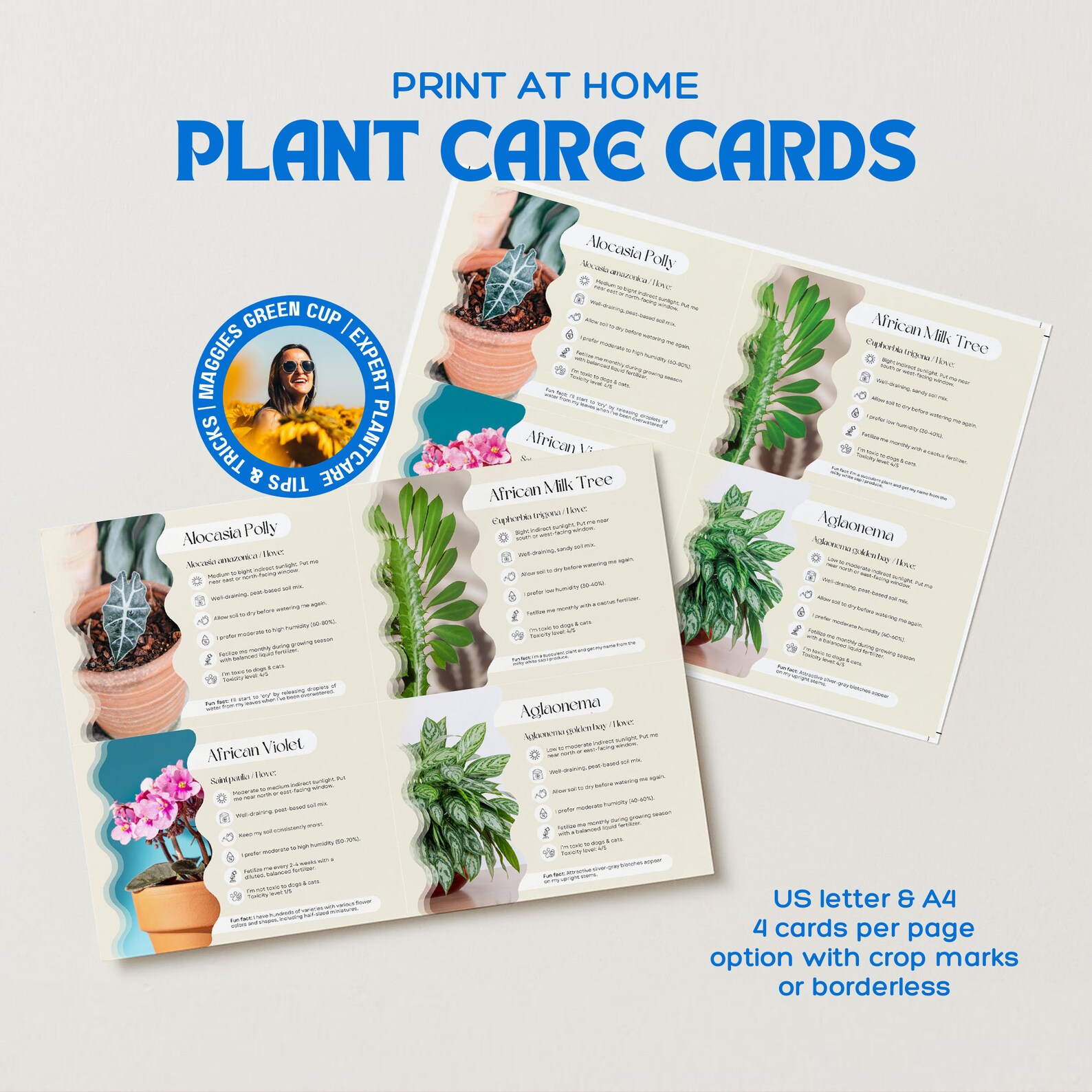 Houseplant Care Cards: Printable Plant Guide (digital Download) - Etsy