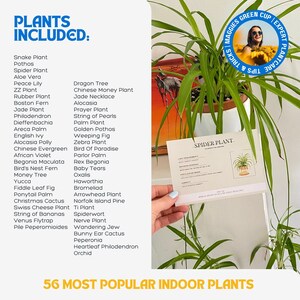 Plant Label Printable Plant Care Indoor Planner Plant Care Guide ...