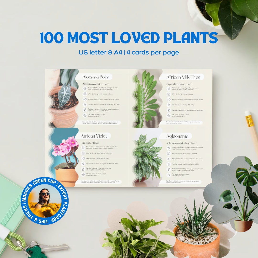 Houseplant Care Cards: 100 Printable Plant Cards - Etsy