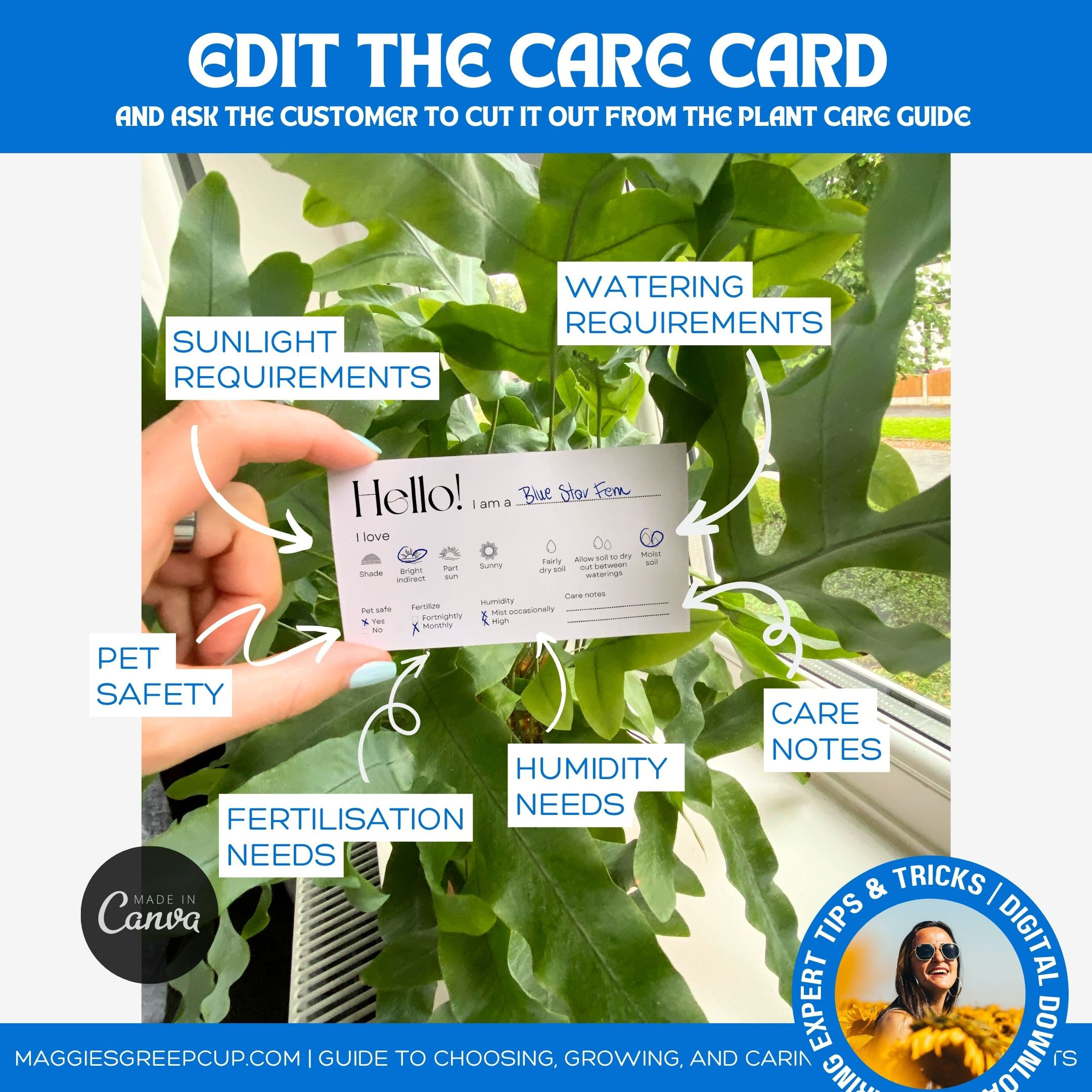 Plant Profile Care Guide Editable Canva Cards Plant Labels Indoor ...