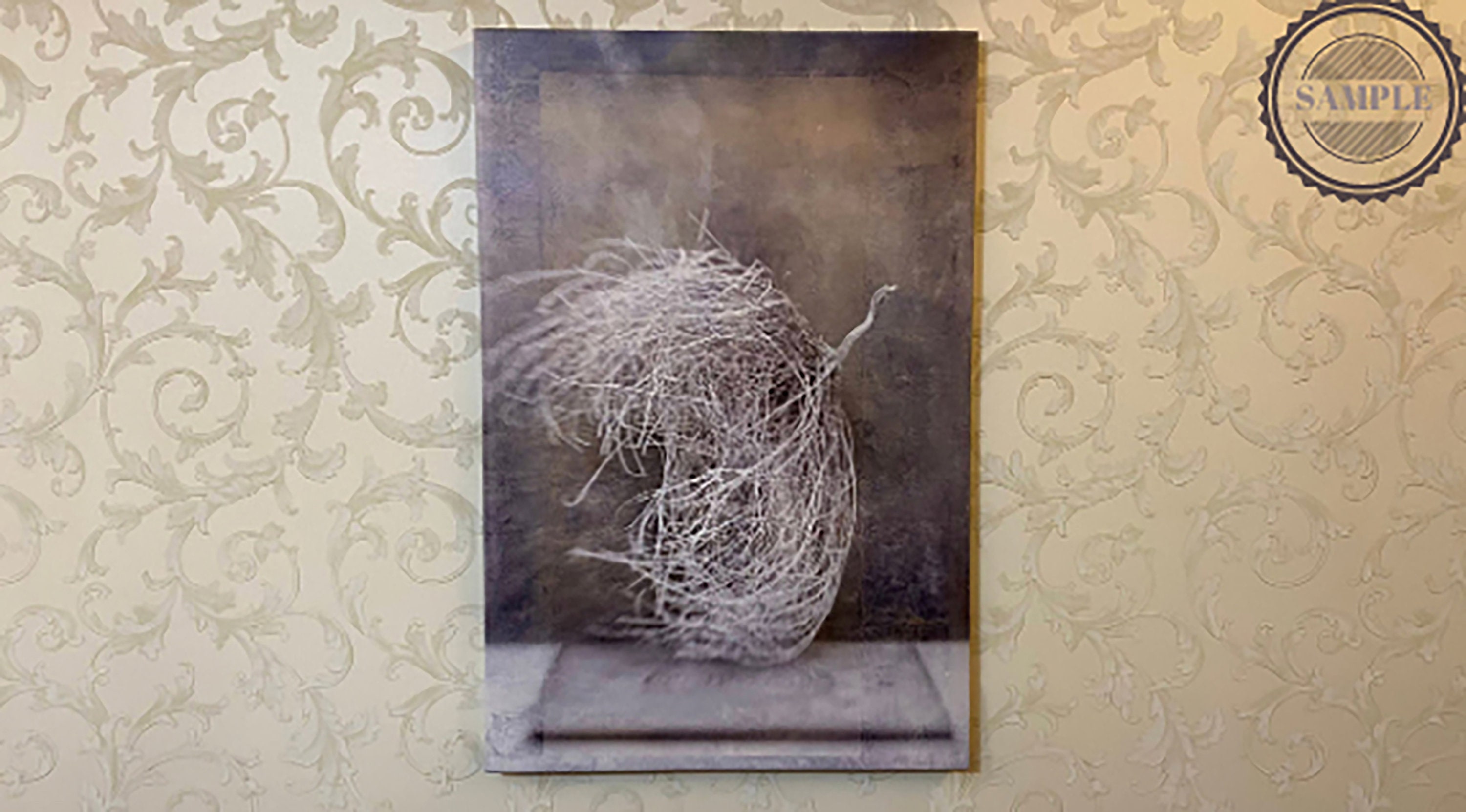 Lionel Messi Argentina National Team Poster, Lionel Messi Poster