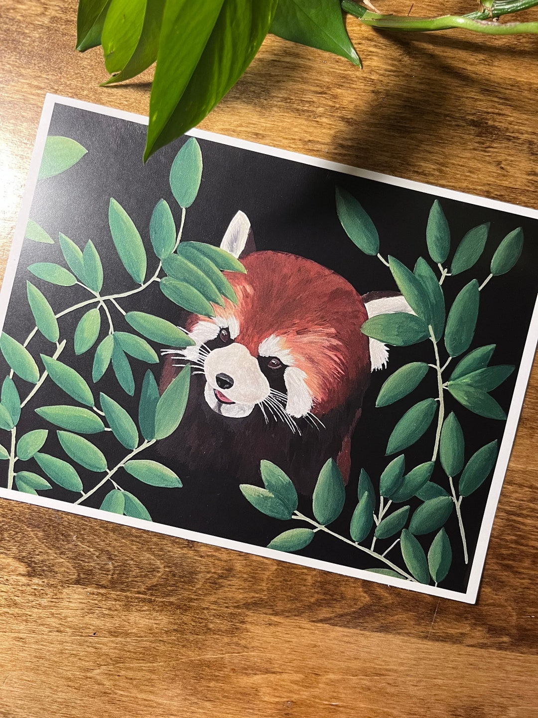 Red Panda Art Print - Etsy