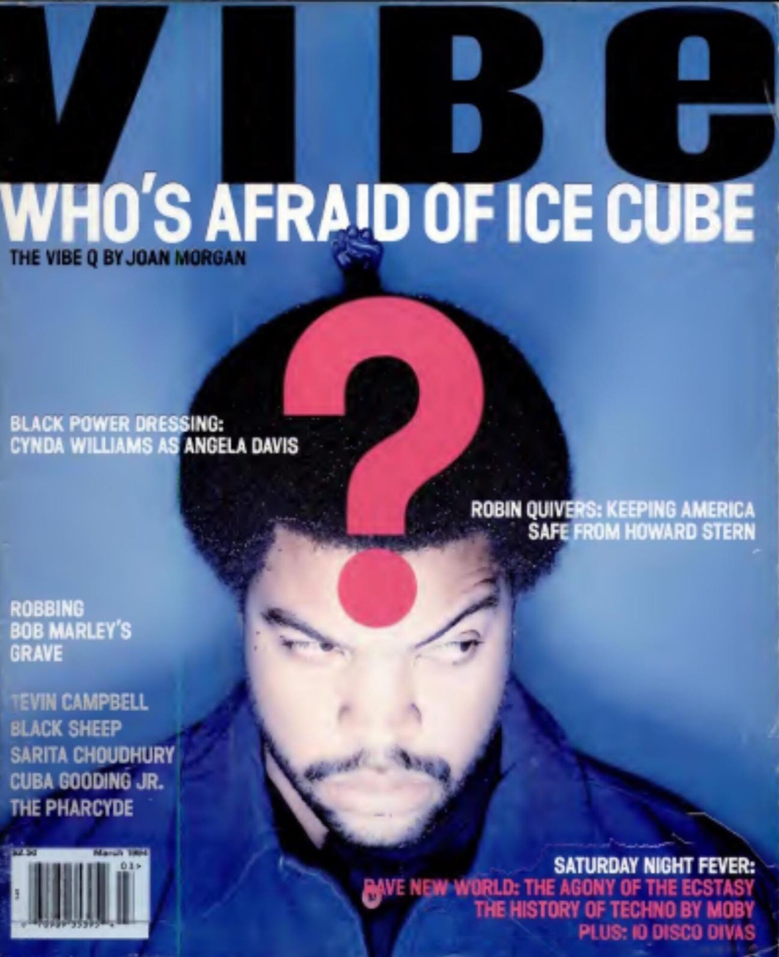 Vintage Vibe Magazine March 1994 PDF Digital Download File Ice Cube ...