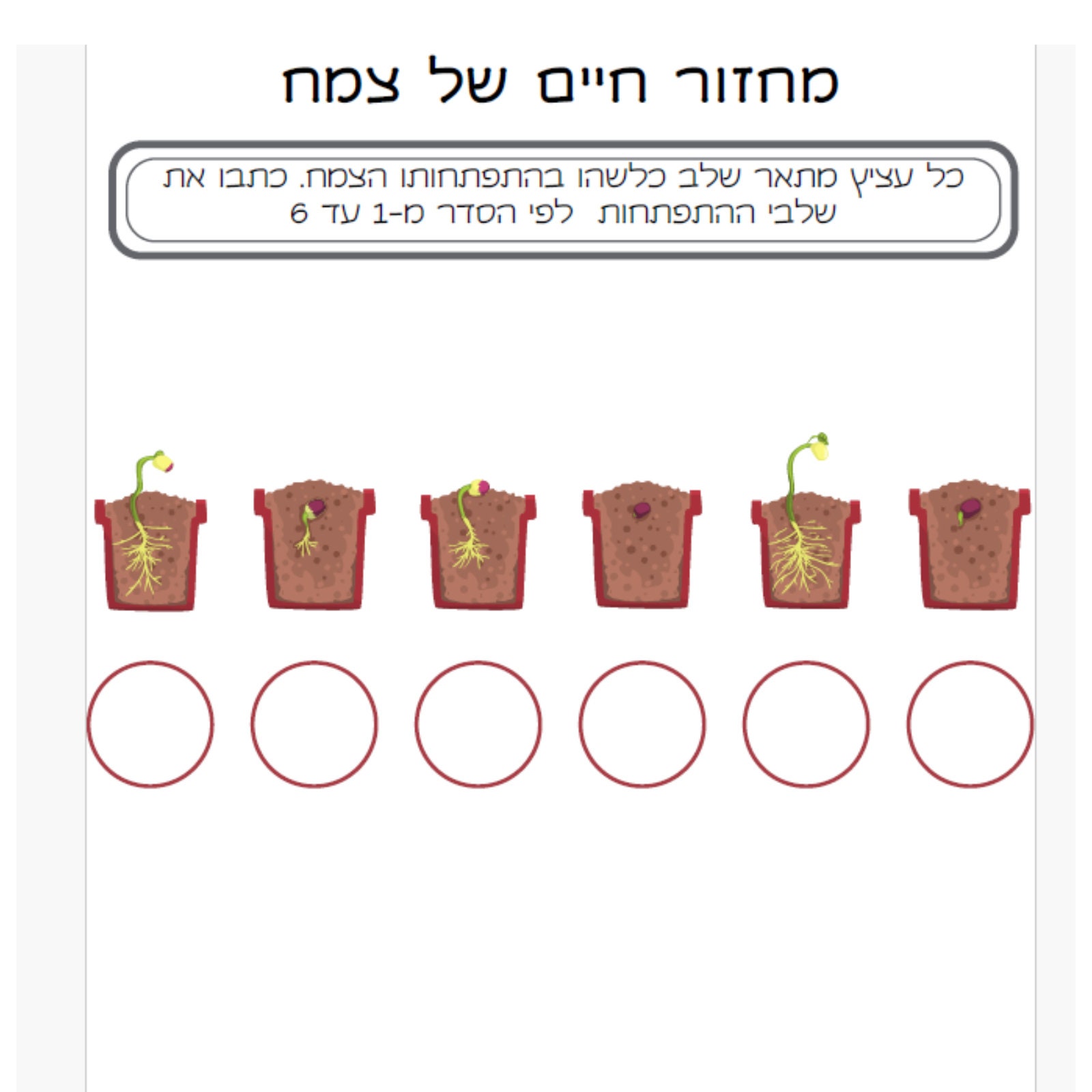 Discover Hebrew Joy: Printable 1st Grade Worksheets, 26 Pages - Digital ...