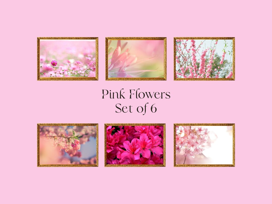 Samsung TV Pink Flower Digital Art Set: Instant Decor Pack of 6 ...