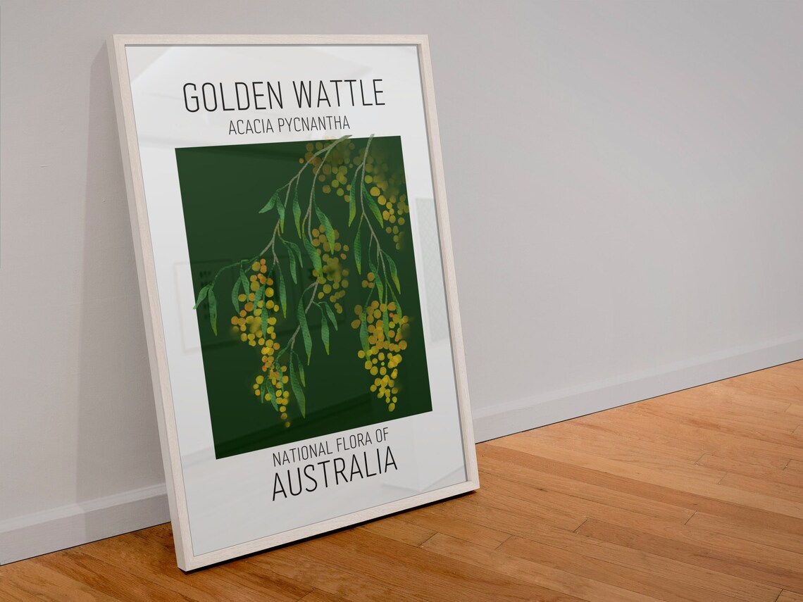 Golden Wattle Australia Printable Wall Art Housewarming Gift National ...