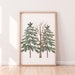 Woodland Christmas Trees Printable Rustic Holiday Gift - Etsy