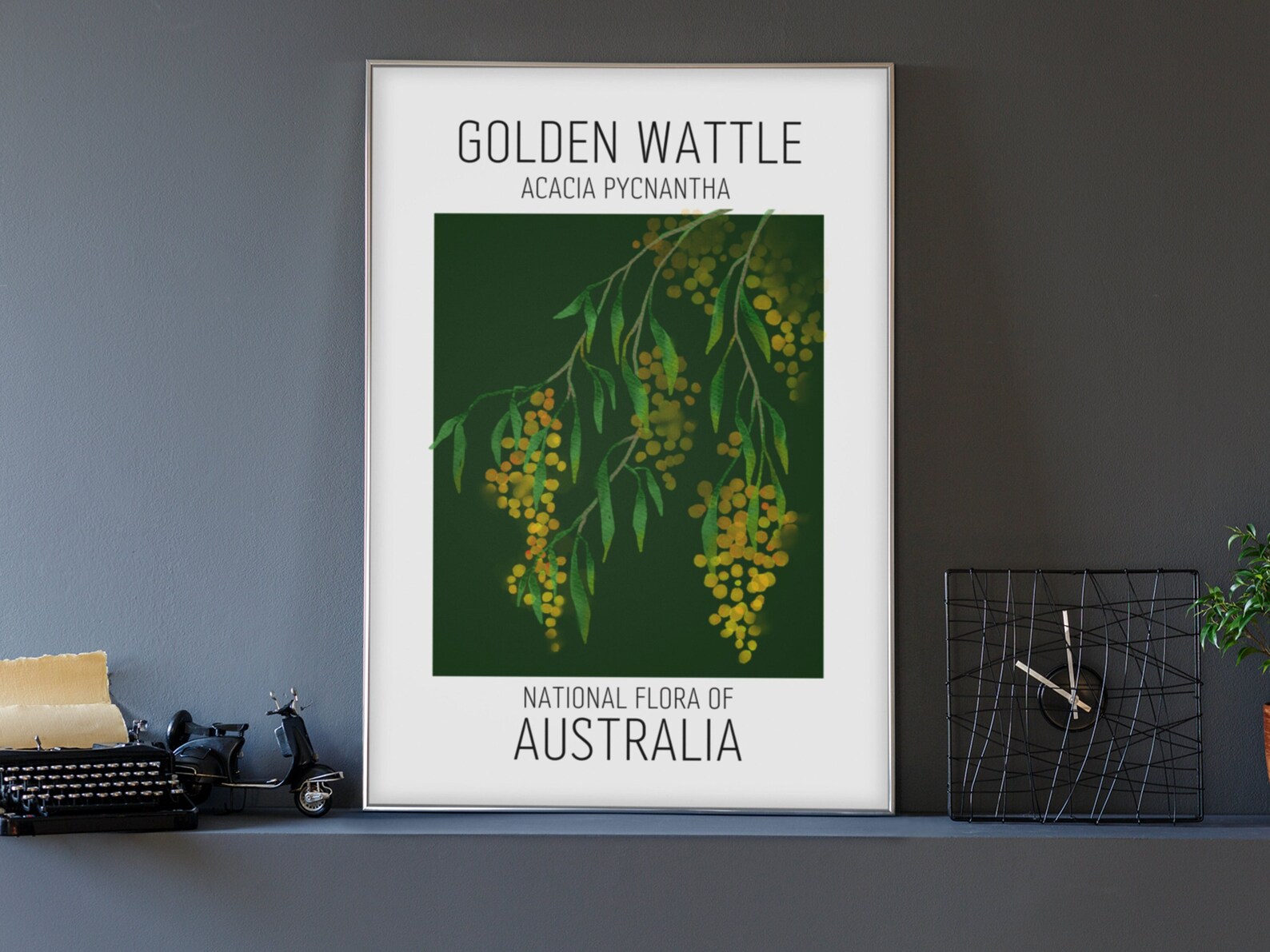 Golden Wattle Australia Printable Wall Art Housewarming Gift National ...