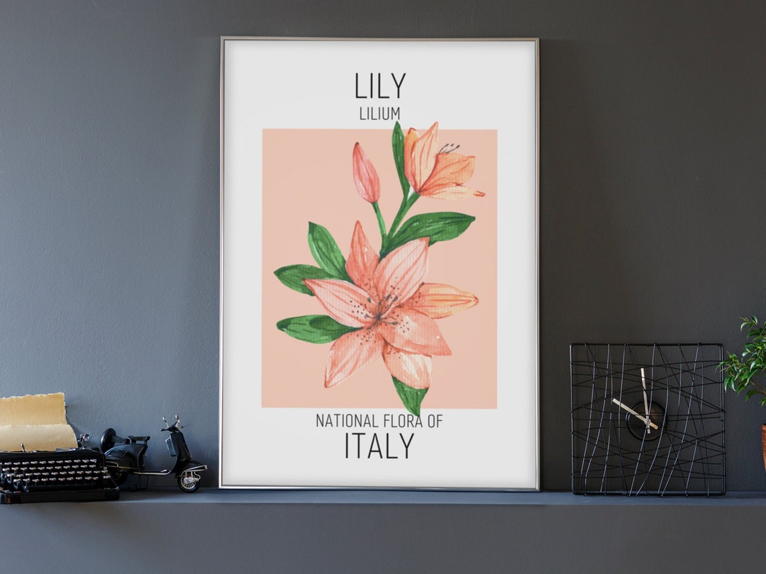 Lily Italy Printable Wall Art | National Flower of Italy | Pink Peach ...