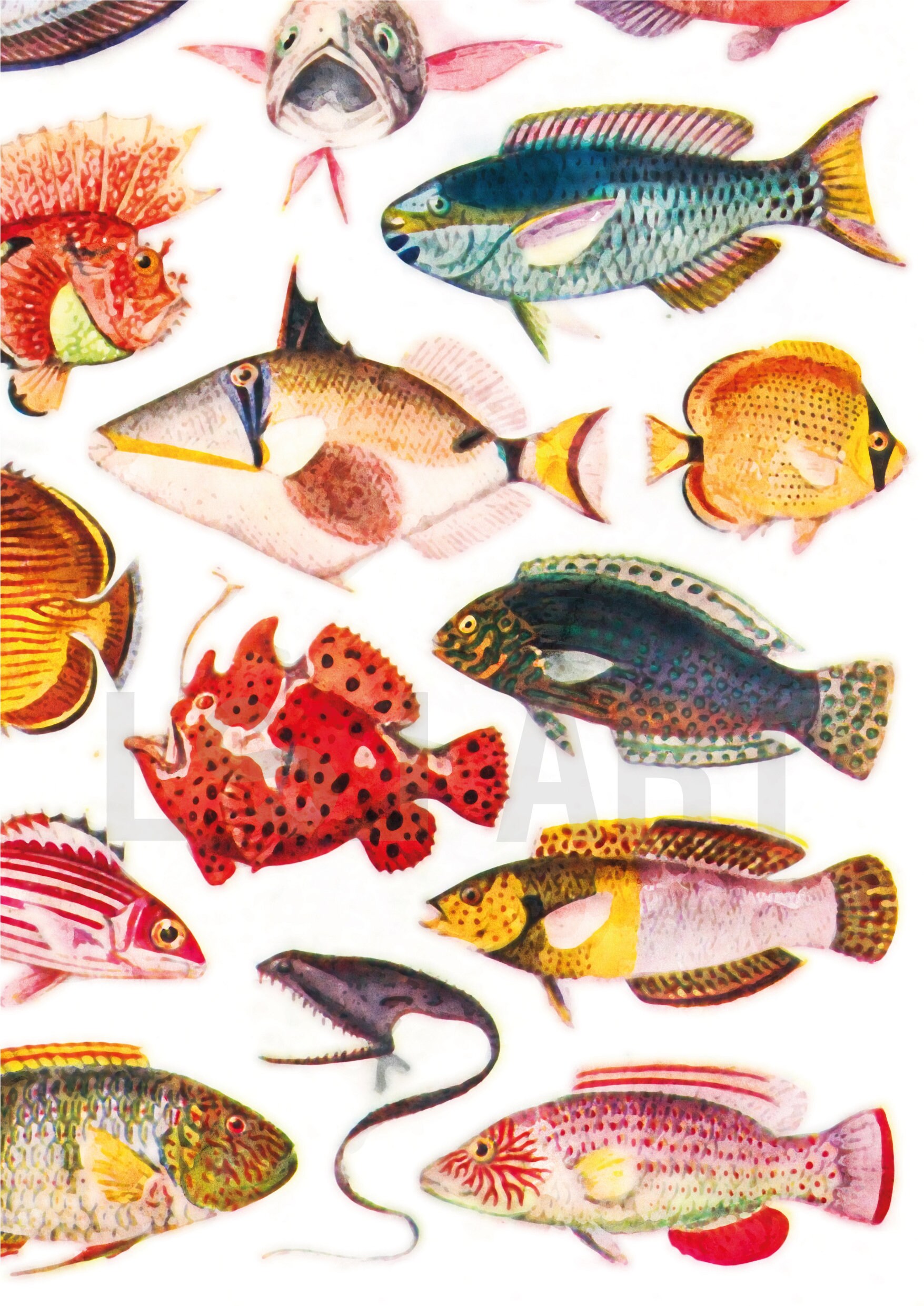 Fish Group Watercolor Digital Print Instant Download Printable Wall Art ...